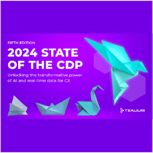 2024 State of the CDP Report - ITTech Pulse